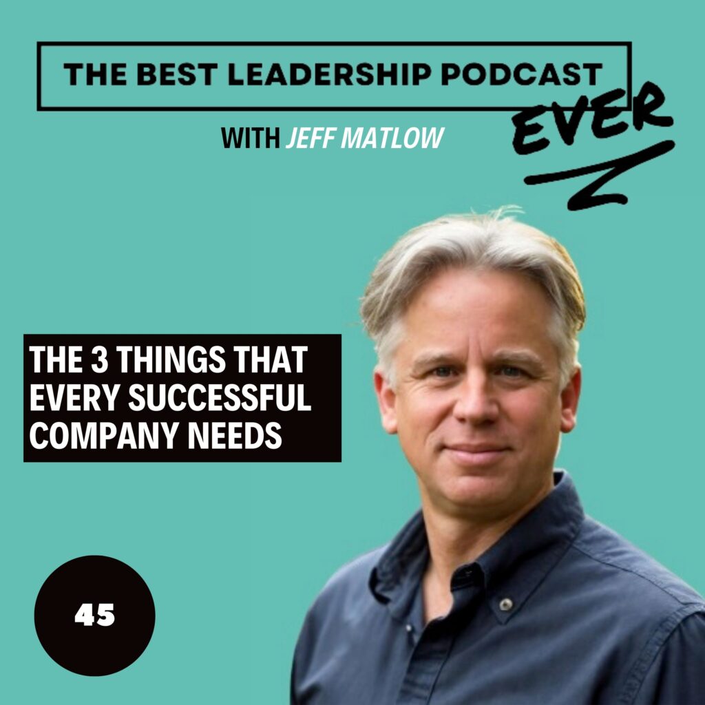 45. The 3 Things That Every Successful Company Needs